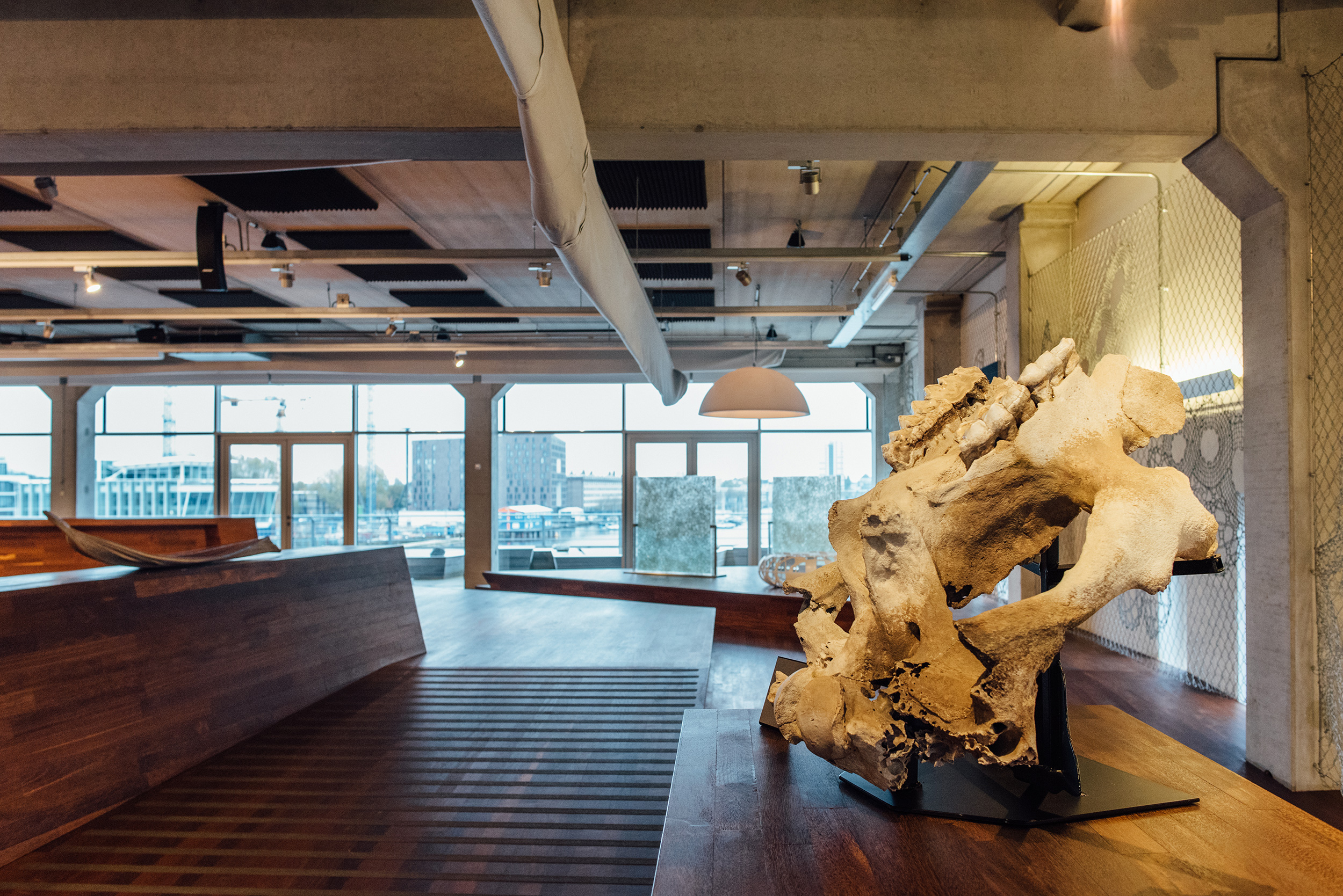 Momentum Global Ventures - Martijn van Rheenen